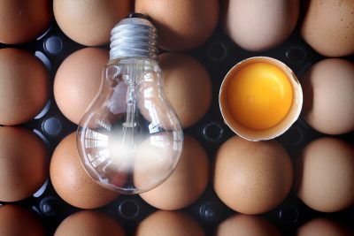 What's the Best Chicken Coop Light? - Backyard Poultry